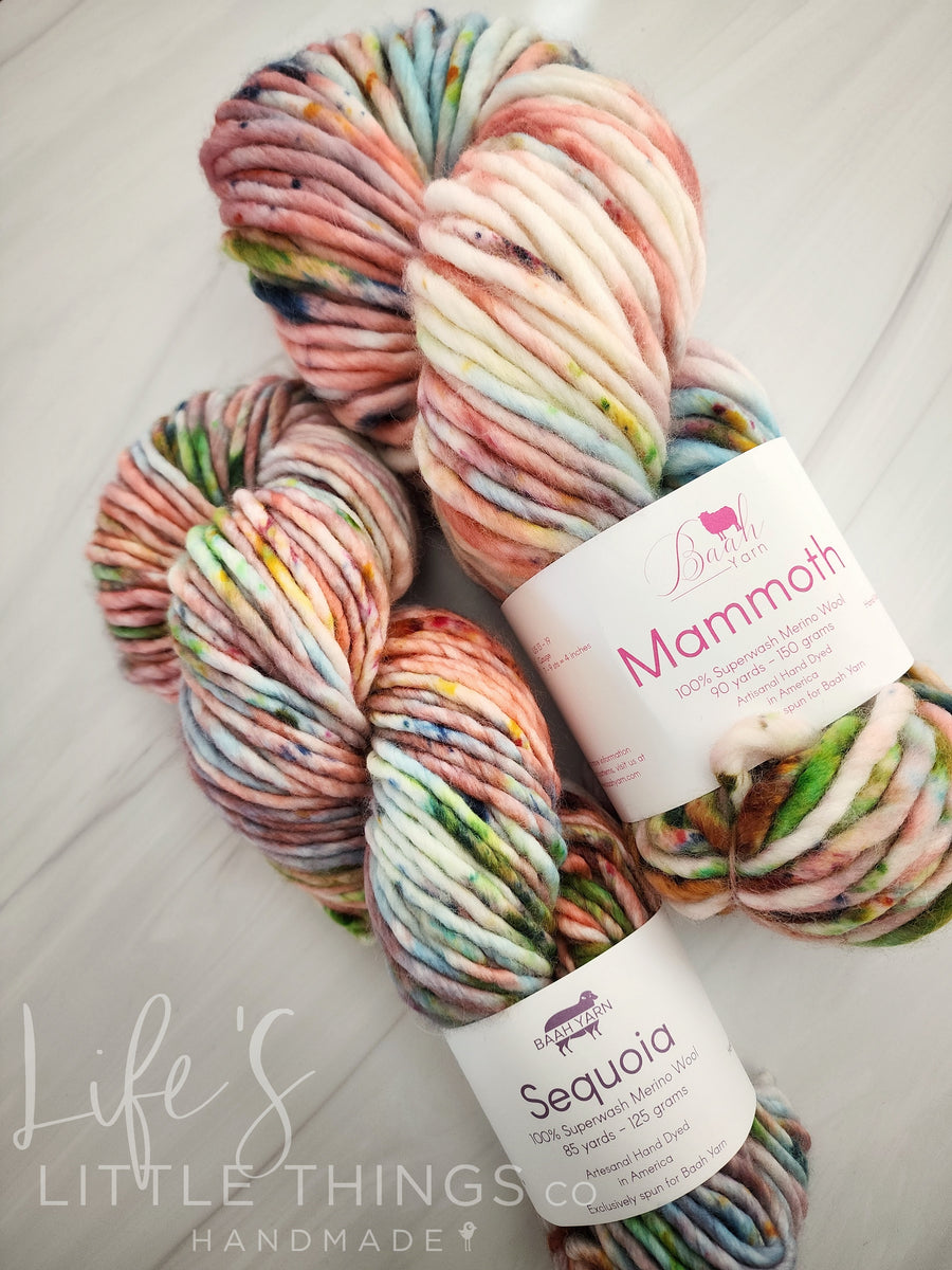 Baah Yarn Color of the Month – Life's Little Things CO
